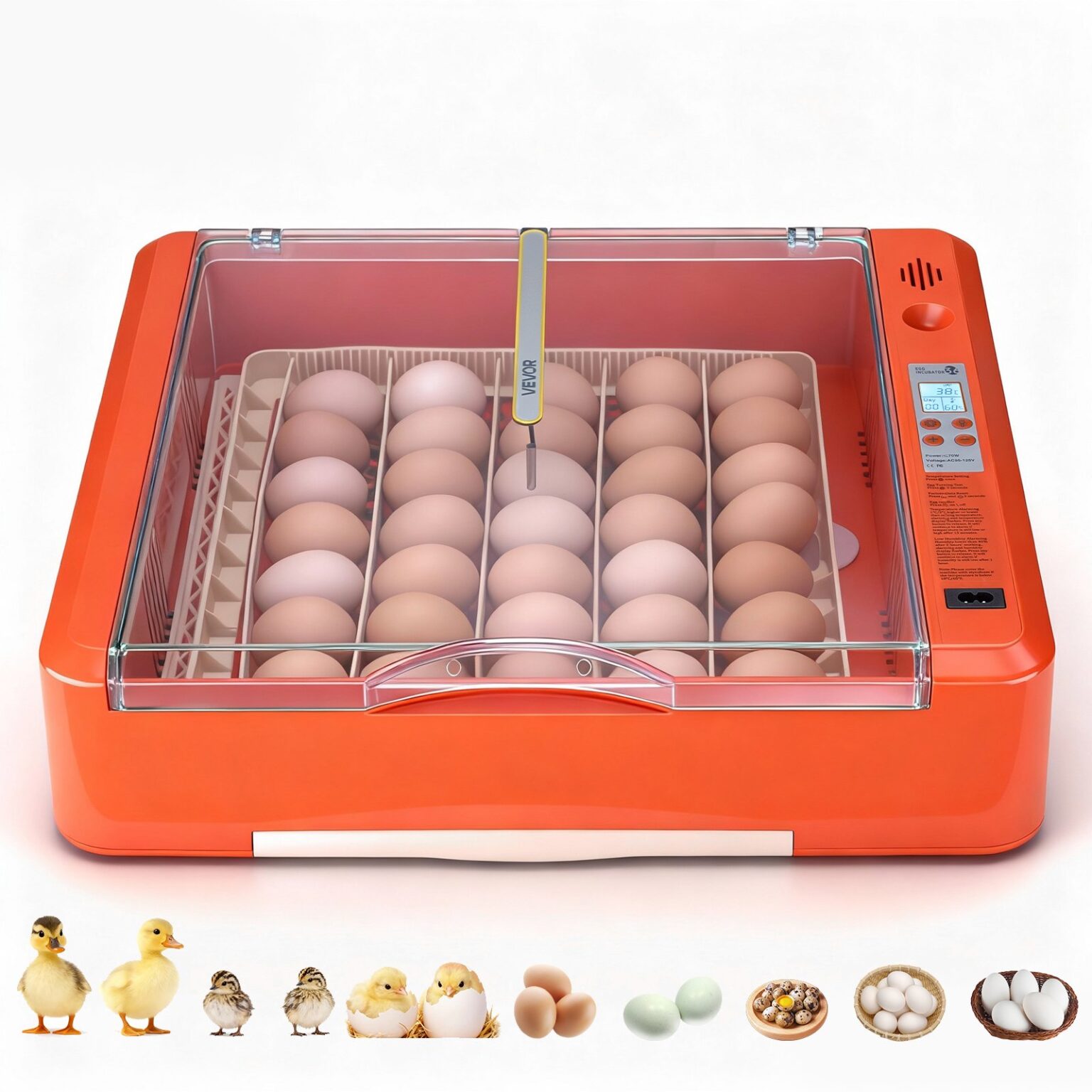 VEVOR 36-Egg Digital Incubator with Auto Turner, LED Candler & Humidity ...